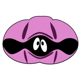 YAMBO CODE – a shiny pot of fun and happiness